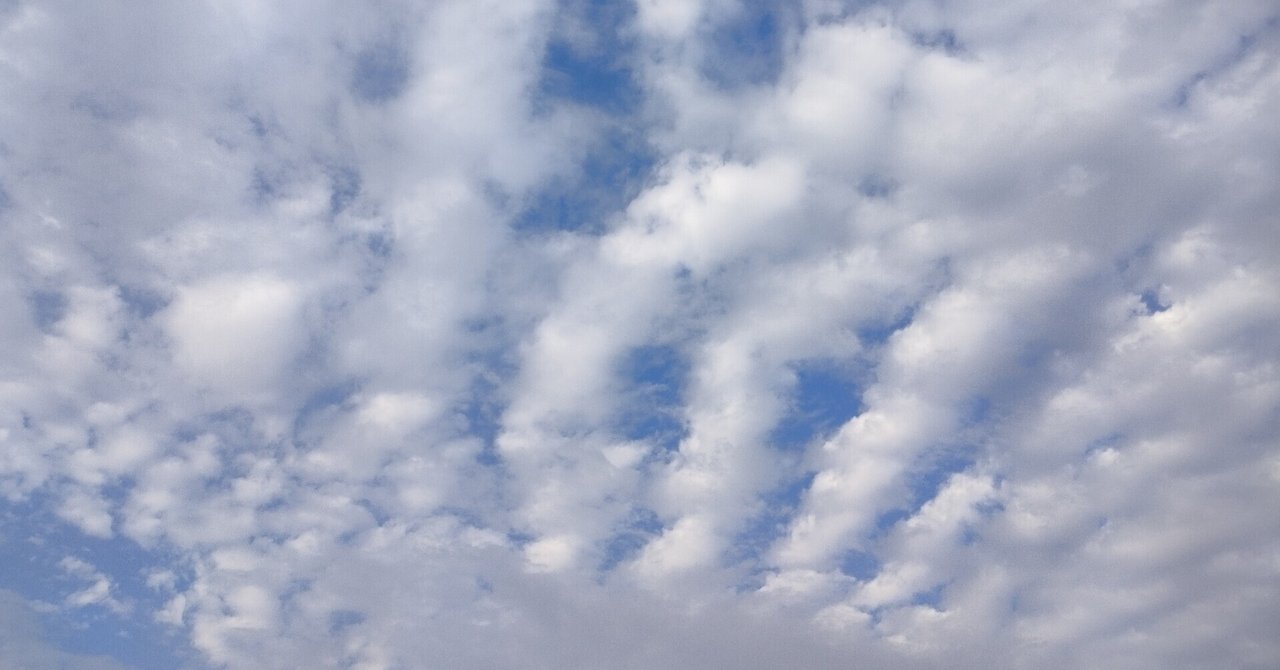 モーゲージ担保証書と債務担保証書 CMOs vs CDOs, 外観と実態, Invest.｜福光 寛 中国経済思想摘記