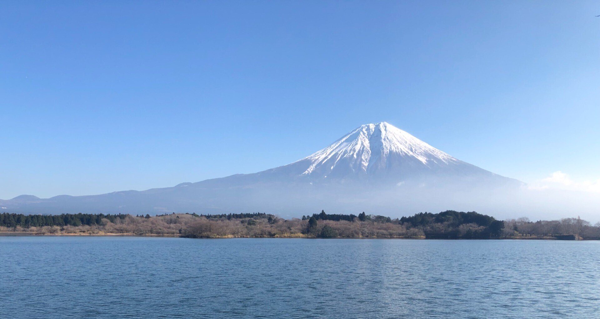 Optim's -pt（オプティムズ プロジェクト）｜note