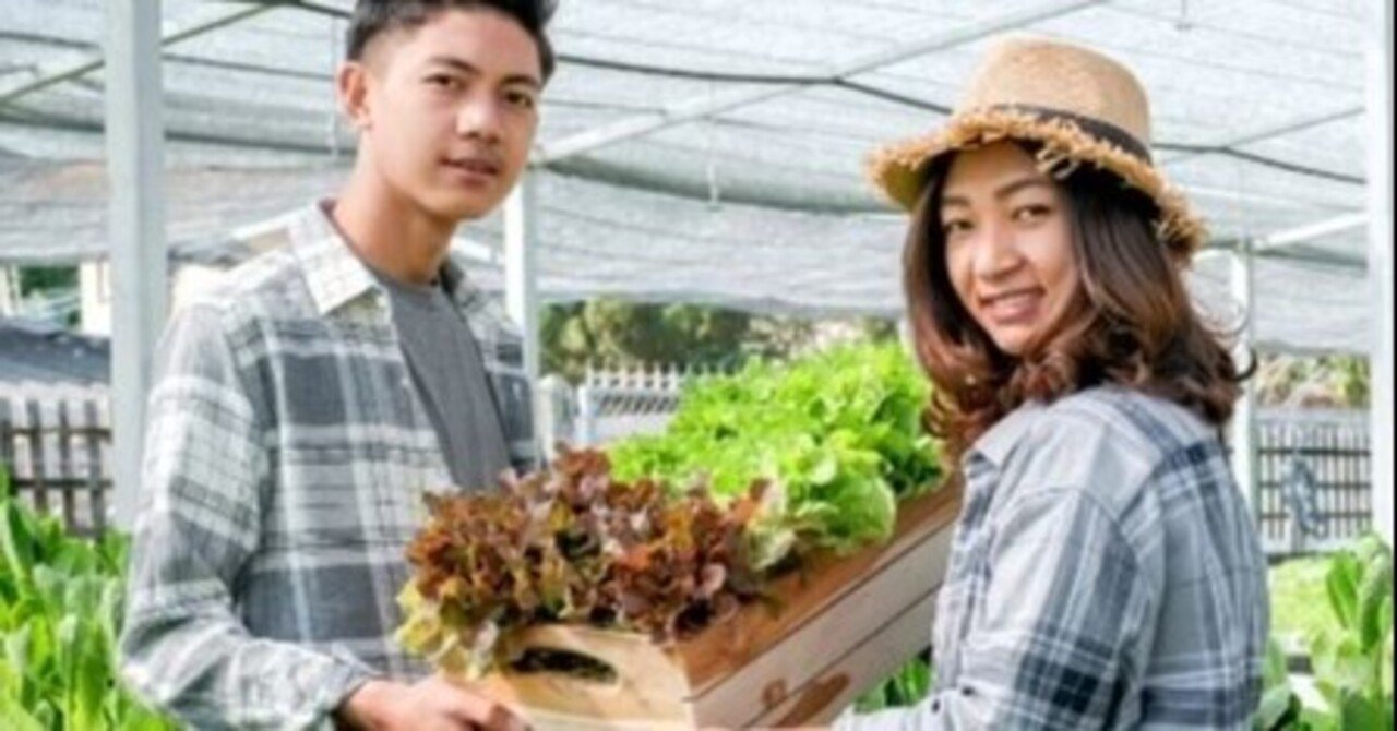 企業の手間を軽減｜dgnfj