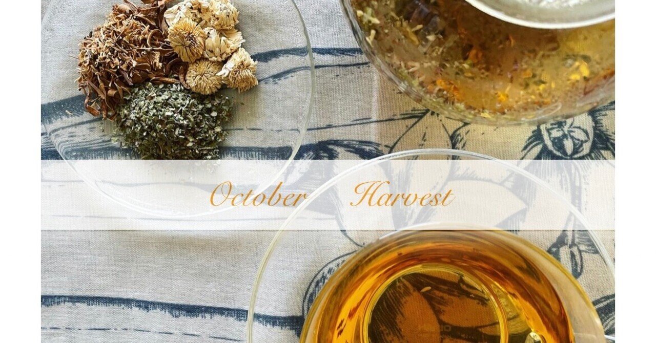 10月度monthly gift "Harvest"販売開始します。｜moon sun & star
