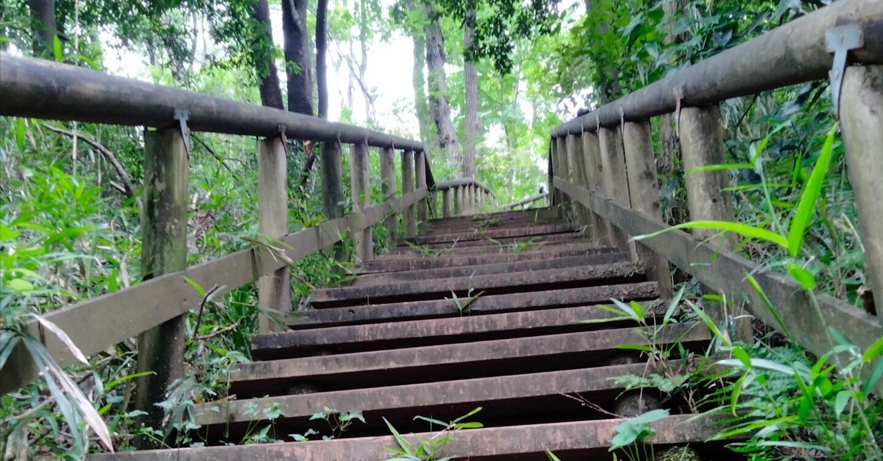 Amano Fan 10｜甘野充