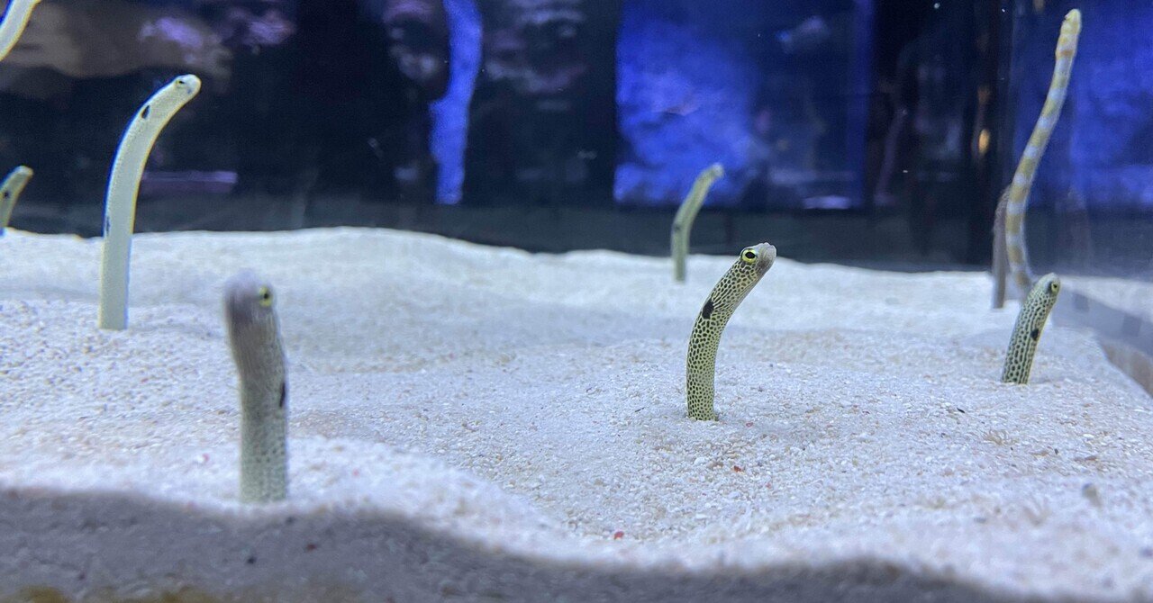 礎｜Hayato Shinomiya｜note