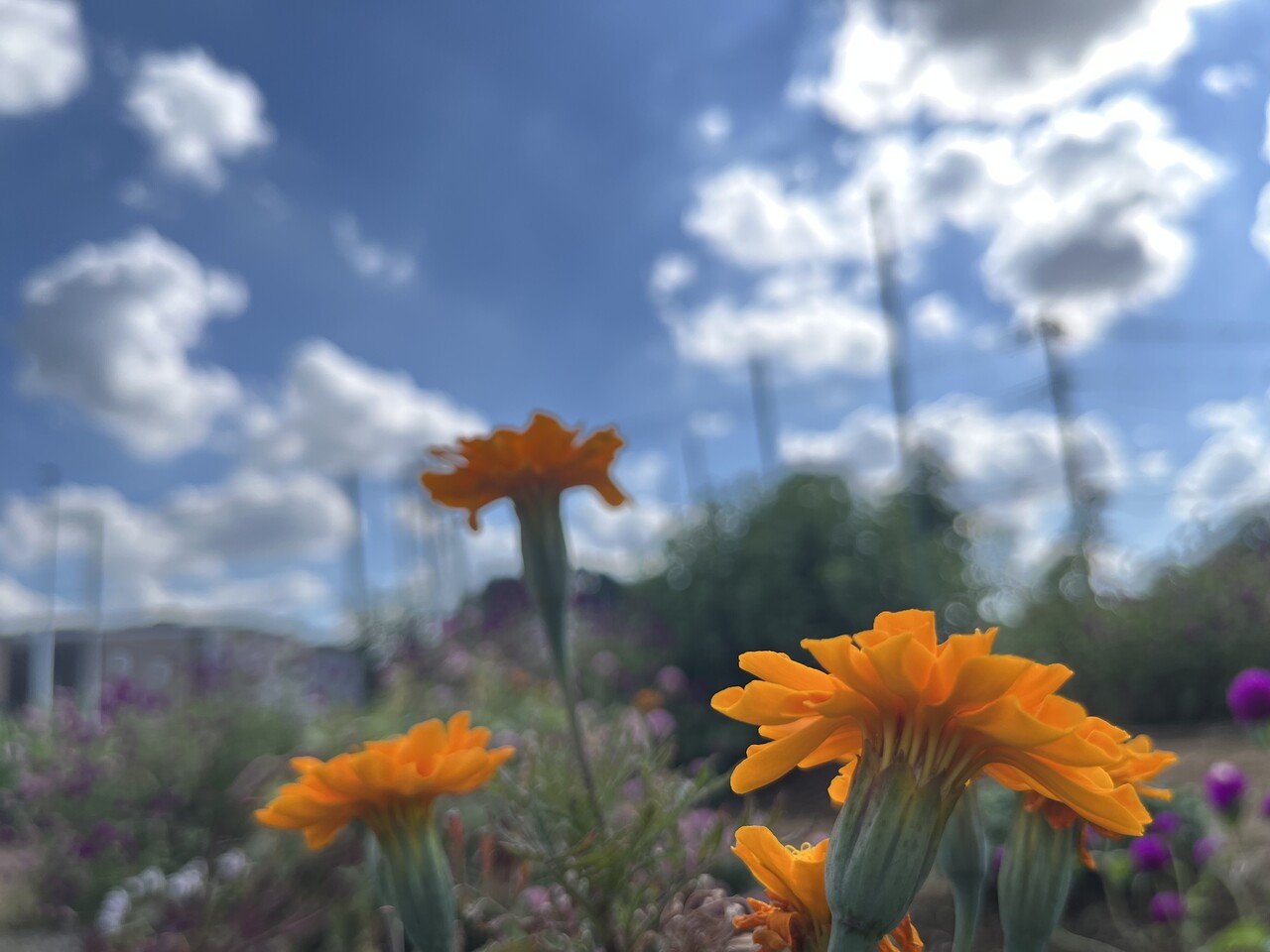 なかなか暑いですね💦｜Ryosuke Matsusima