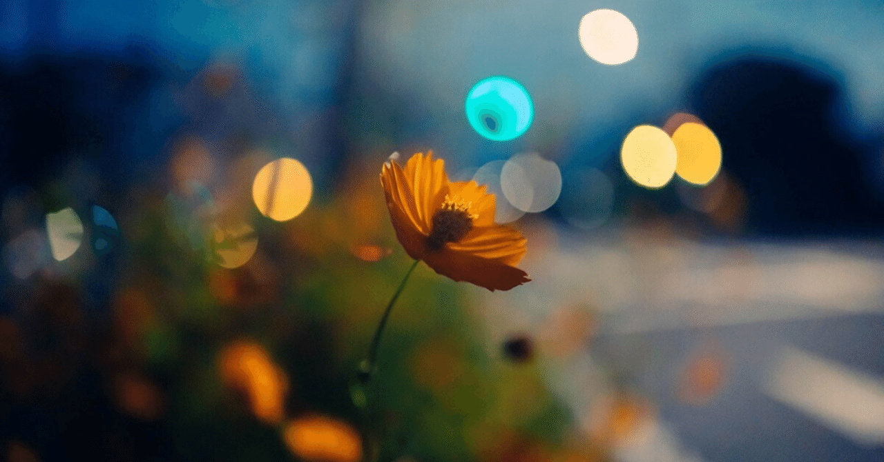 10月コスモス秋の空｜yuri｜note