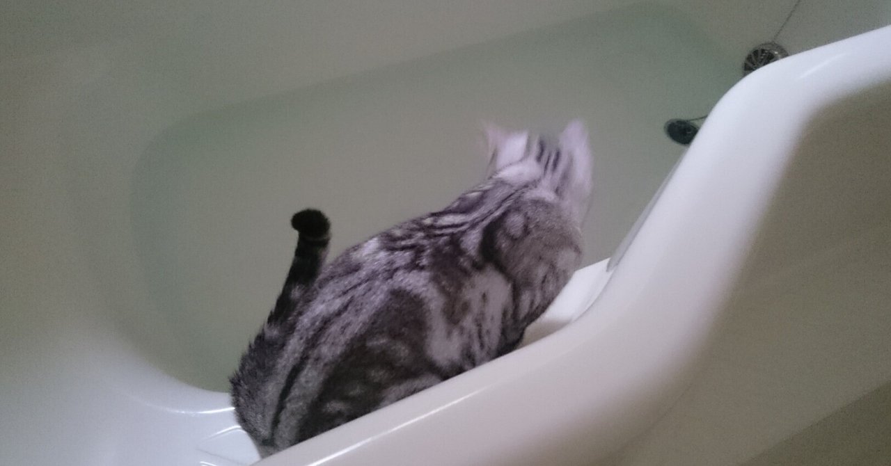 奇跡講座WB実践91 奇跡は光の中で見える｜(Linp&Ruru)本当の自分を知り、本当の自分として生きる