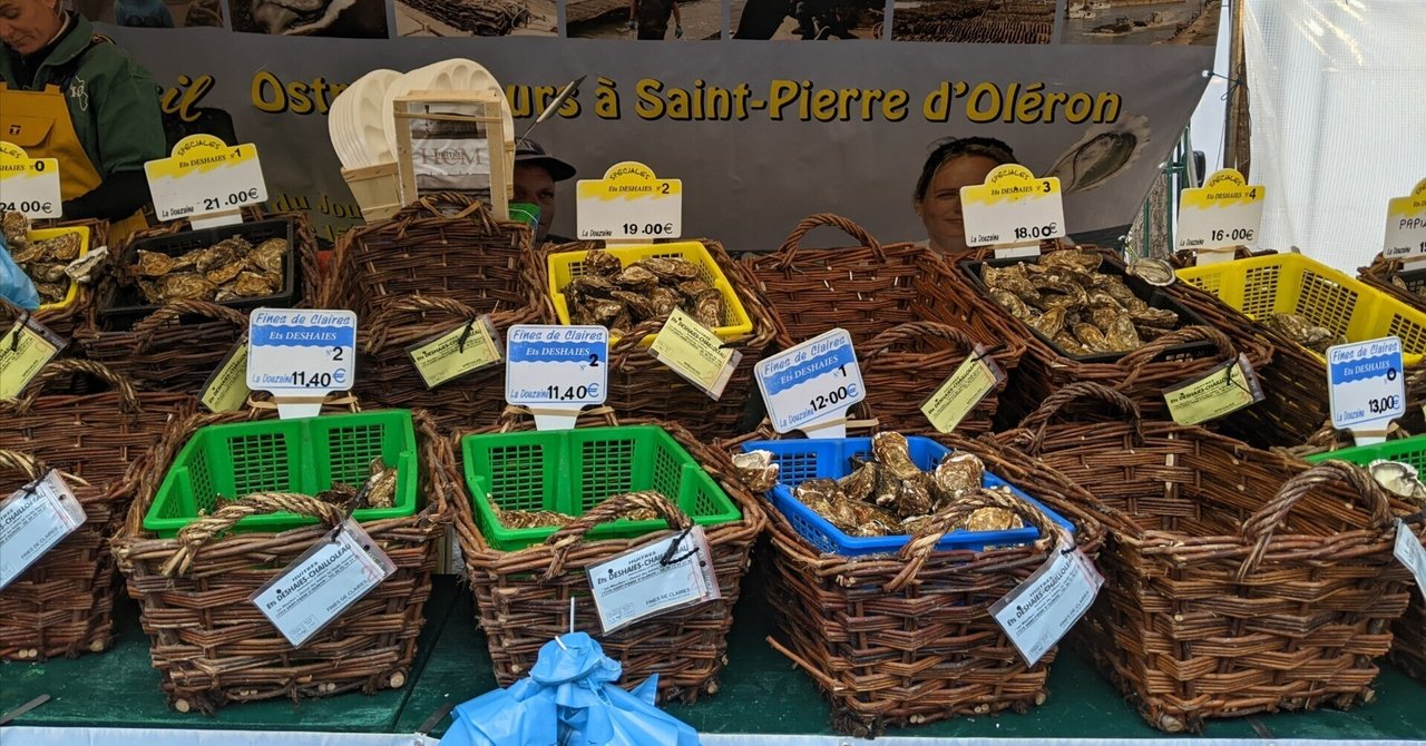 Day 255｜ayanorimaki