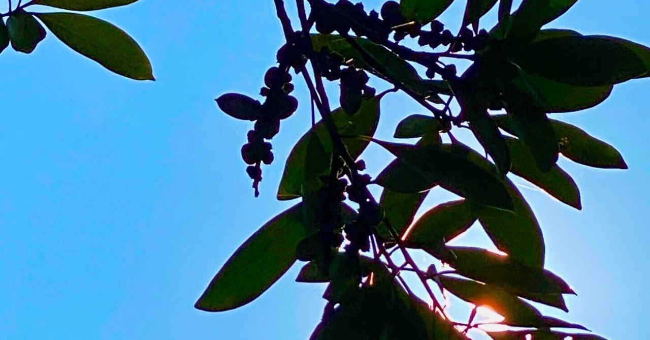 うかんだり、しずんだり｜TresMe@Keisuke