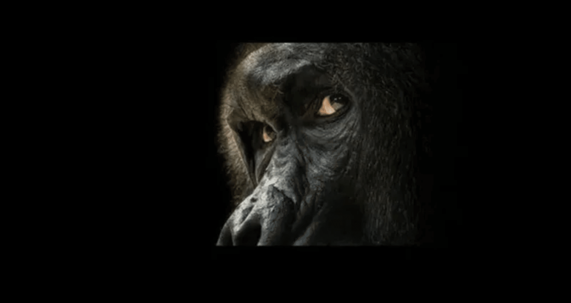 「HUMATRIX vol.4」(一回買い切り版)｜EvoPsy｜note