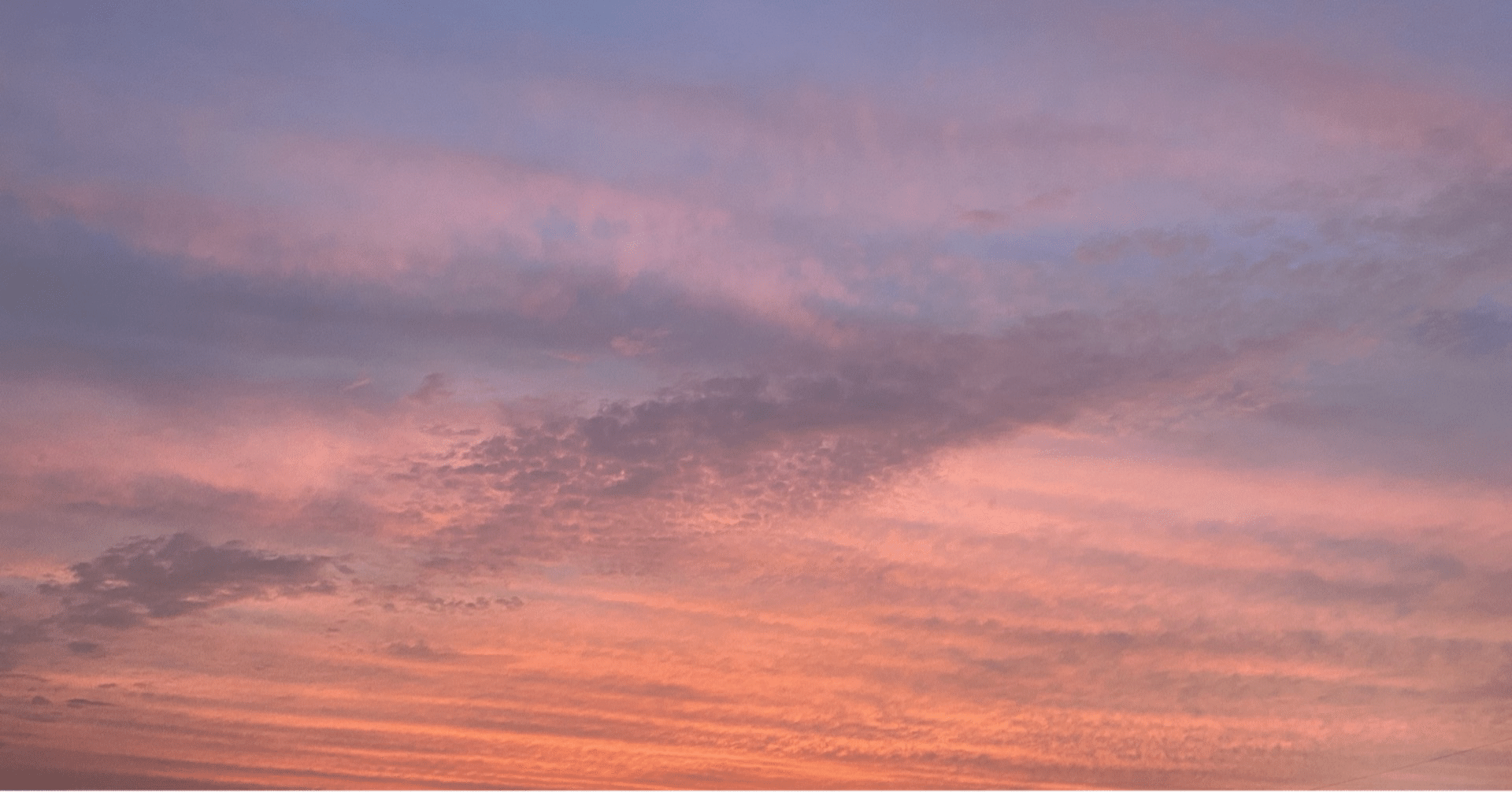 junkoの記事一覧｜note（ノート）