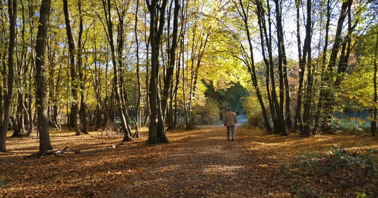 Mikakoのドイツ語通信 2022年第36号 Herbst｜Mikako Hayashi-Husel（林フーゼル美佳子）ドイツ語サービス