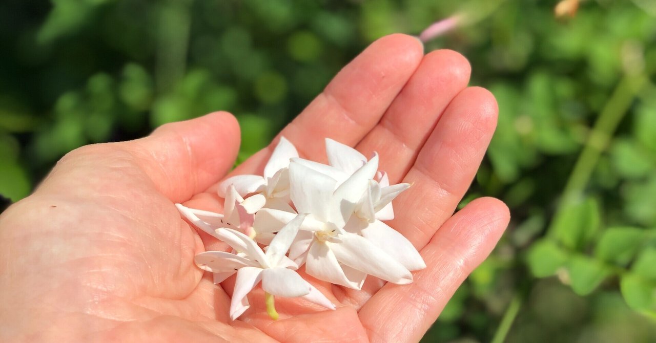 トレーニングを受ける意味｜kao-line