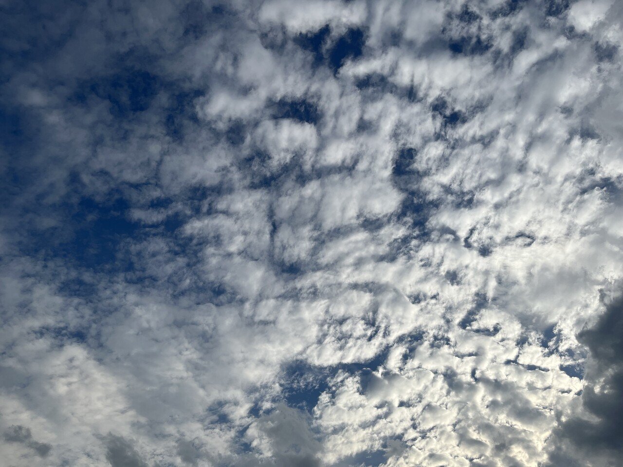 しろ と あお｜Ryosuke Matsusima