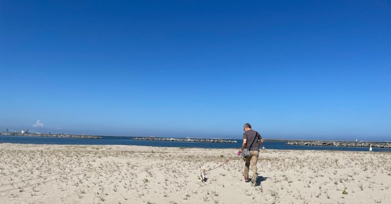 初めまして｜koka｜note