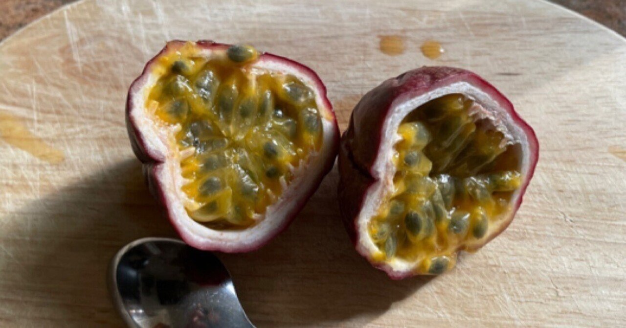 季節外れの｜koka｜note