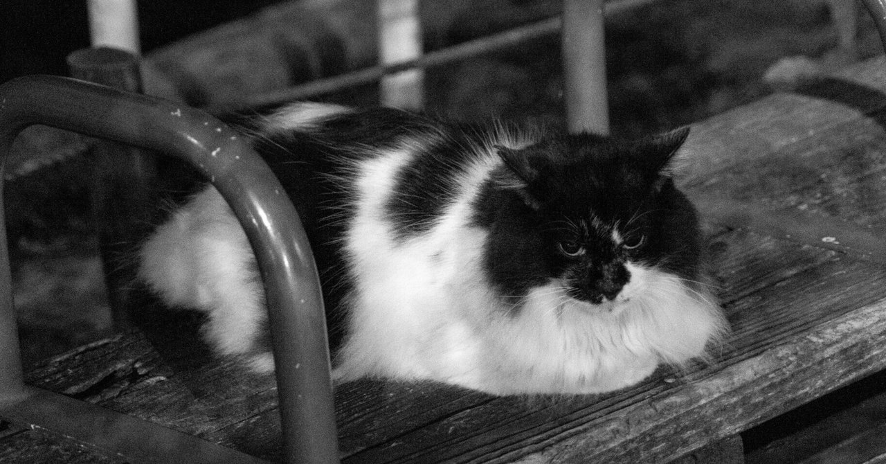 細々と続けているうちに気づけば望んだ以上の環境に恵まれる｜Tomoki｜note