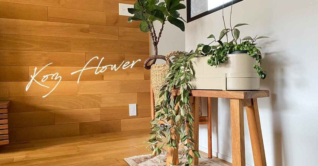 【KOZフラワー】vol, 67 お家の外でも中でも！Bauバルコニーボックスの使い方｜KOZLIFE