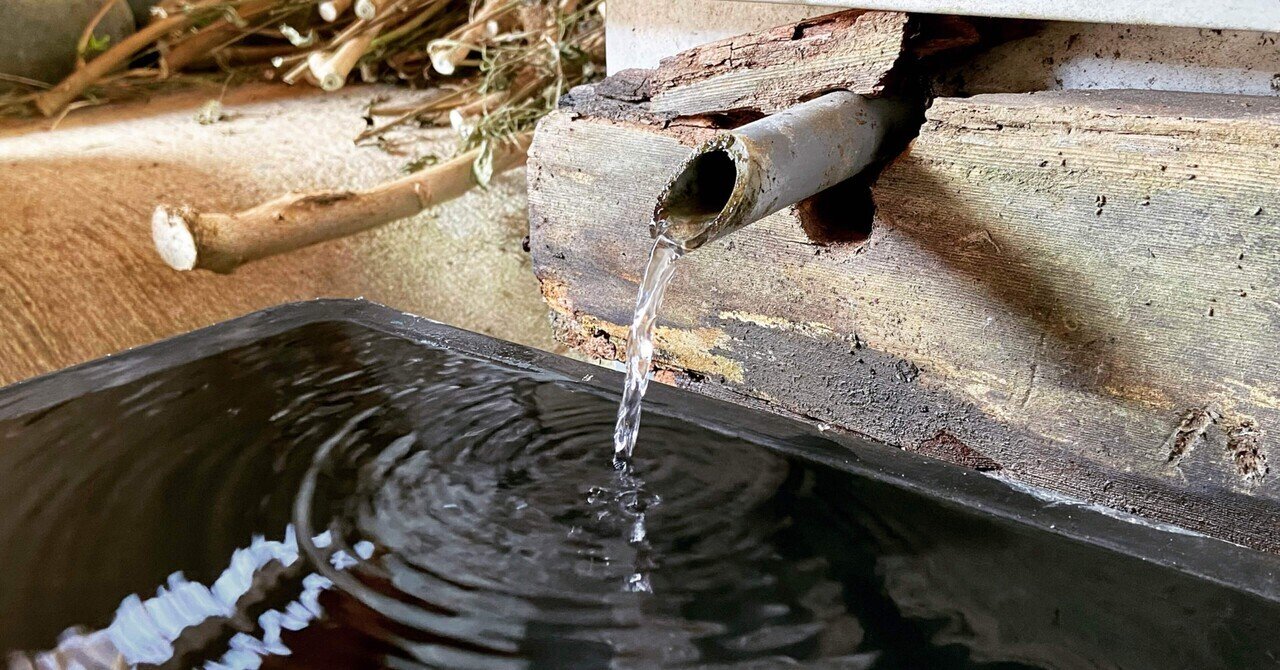 宝探し｜Tact Masuda