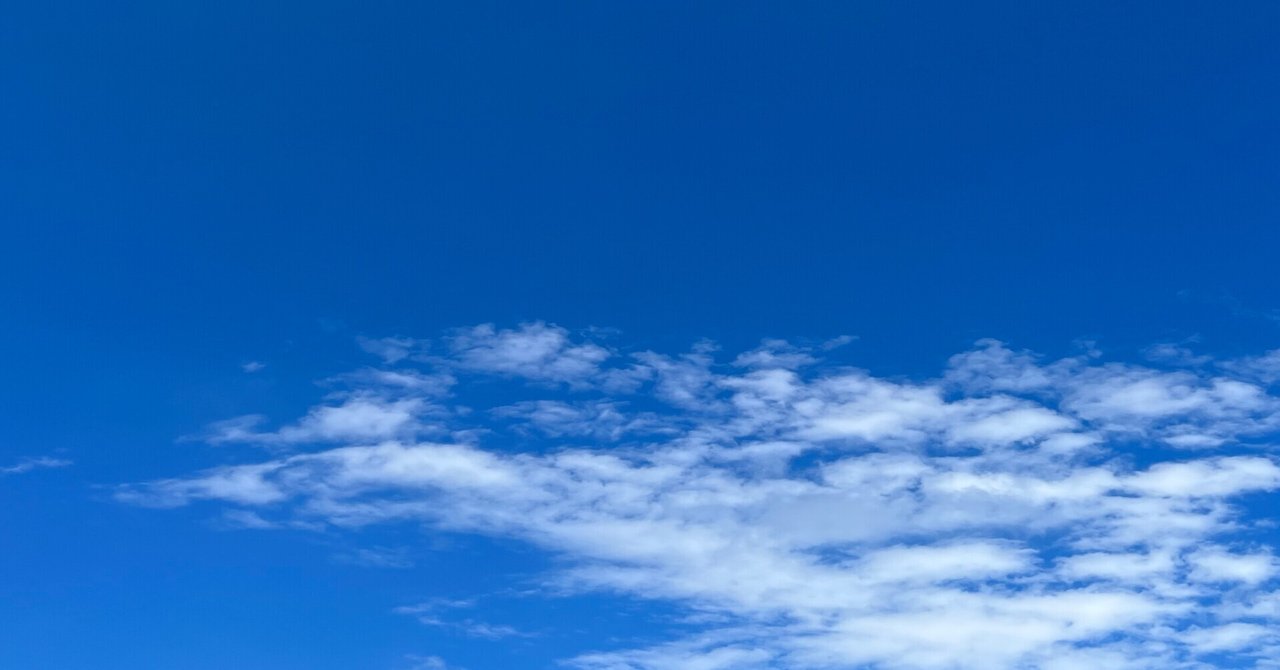 ☆10/5 住之江6R 17:33☆｜みるく