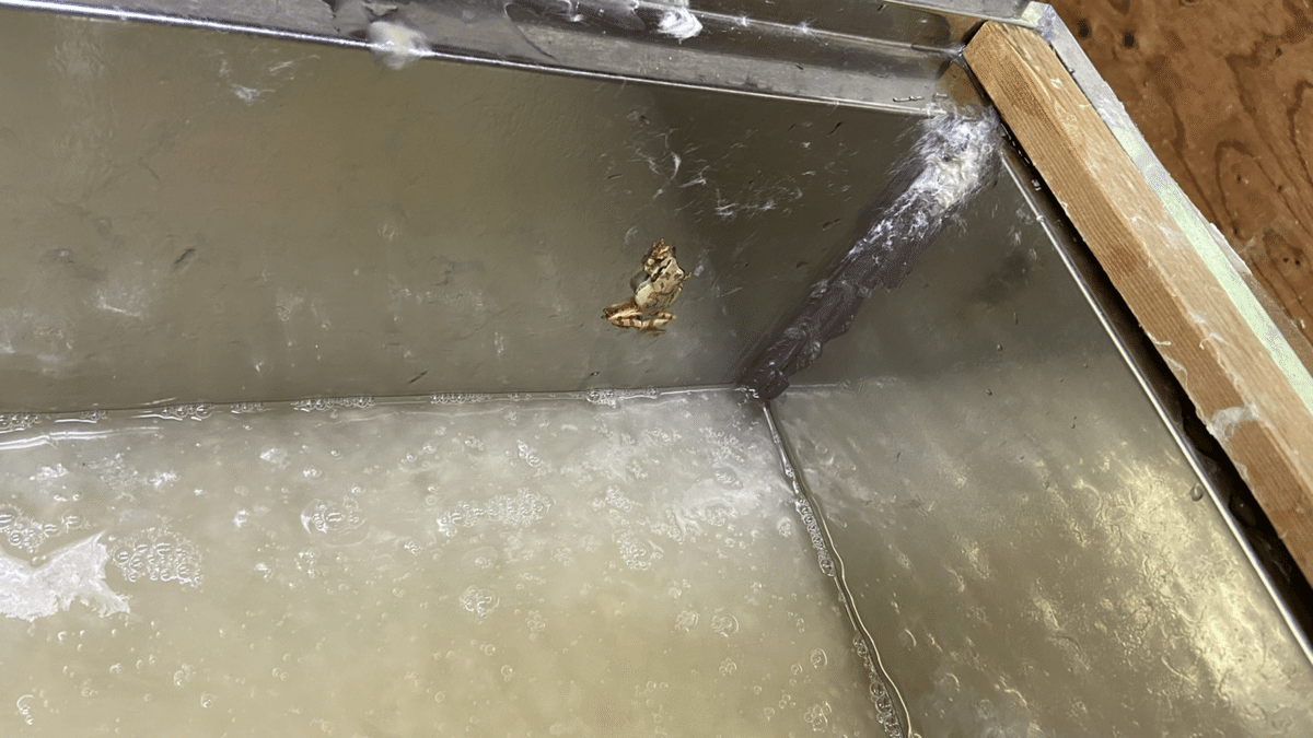 宝探し｜Tact Masuda