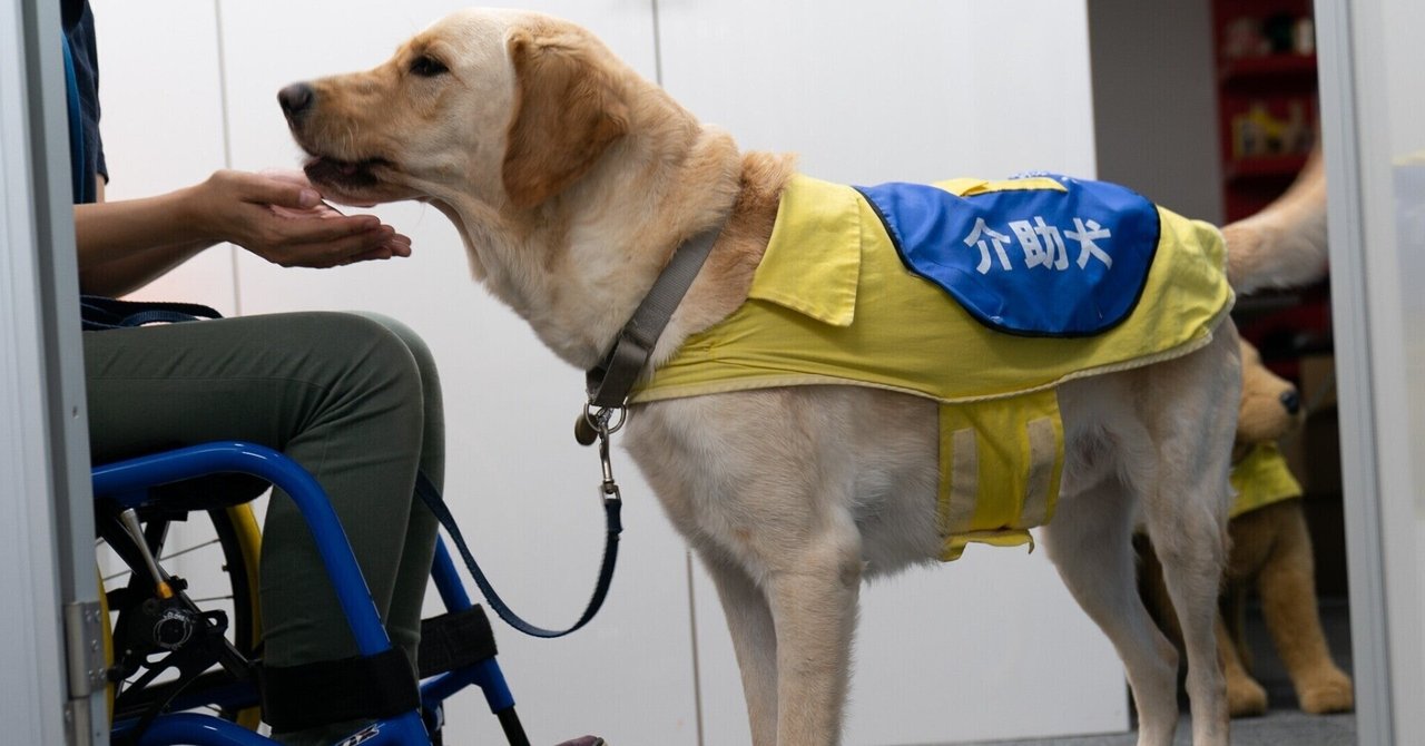 76. 日々の学びシリーズ♪『介助犬』を知っていますか？人との関わり方に大きな学び！｜可児愛佳 (Aika Kani)