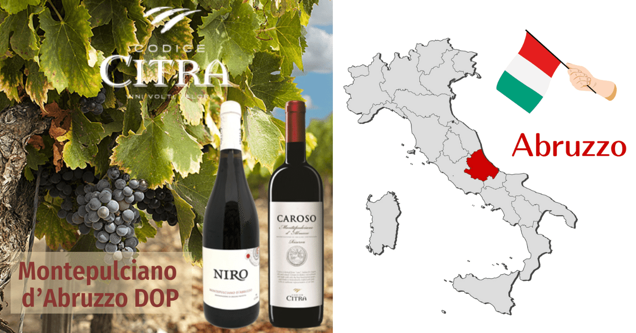 モンテプルチャーノ｜AlcotradeTrust