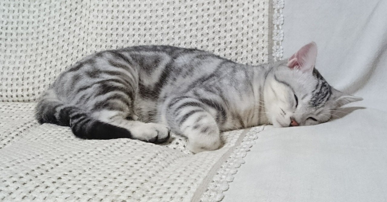 奇跡講座WB実践96 救済は私の一なる自己から訪れる｜(Linp&Ruru)本当の自分を知り、本当の自分として生きる