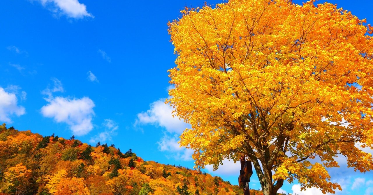 北海道で紅葉を楽しむ。｜有紀/yuuki｜note