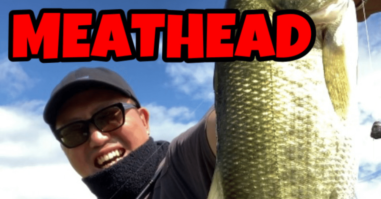 meathead zoombaits｜Daisuke_Noda