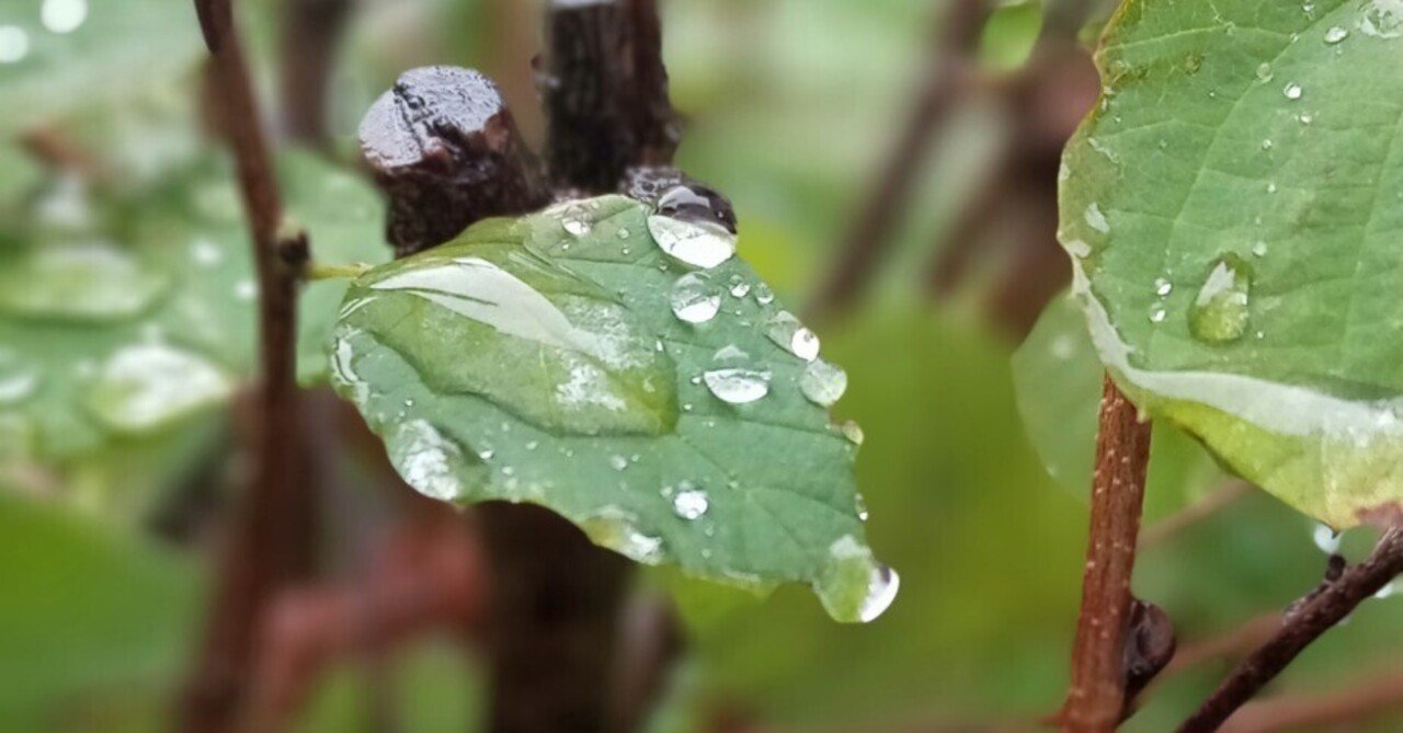 質量のある一滴。｜Reiko Hara/アロマ音叉®️セラピスト