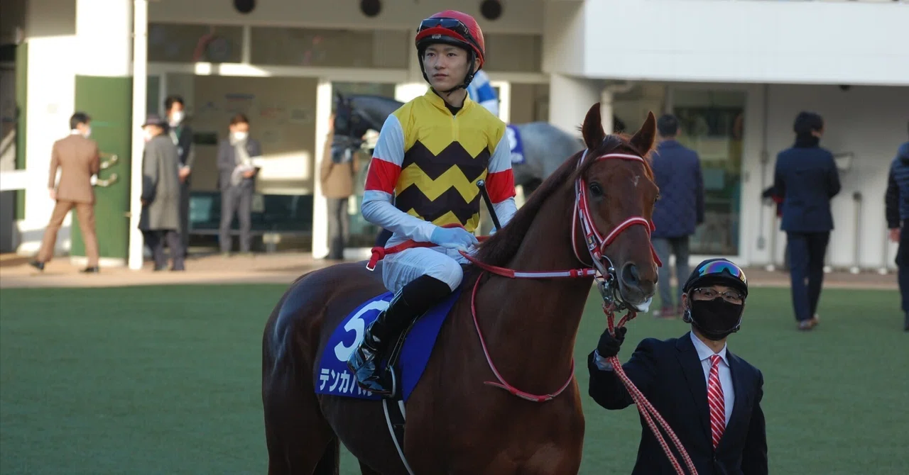 サラブレッドクラブライオン2022募集馬(2021年産)AI馬体診断｜Koji Maeda