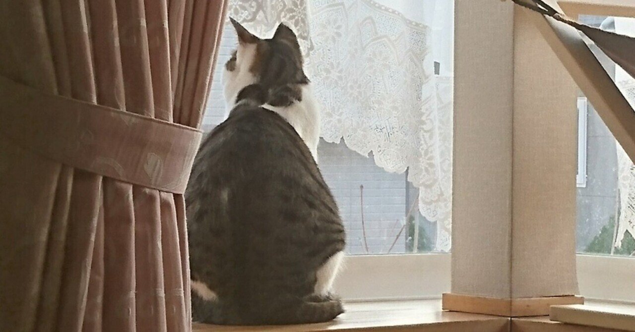 奇跡講座WB実践97 私は霊である｜(Linp&Ruru)本当の自分を知り、本当の自分として生きる