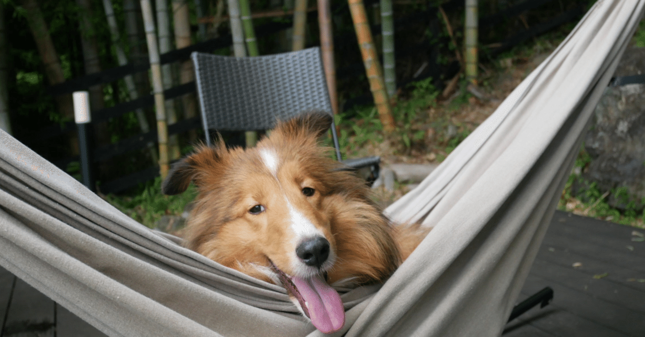 風俗スタッフの気楽さ｜568連勤した男｜村木亜美