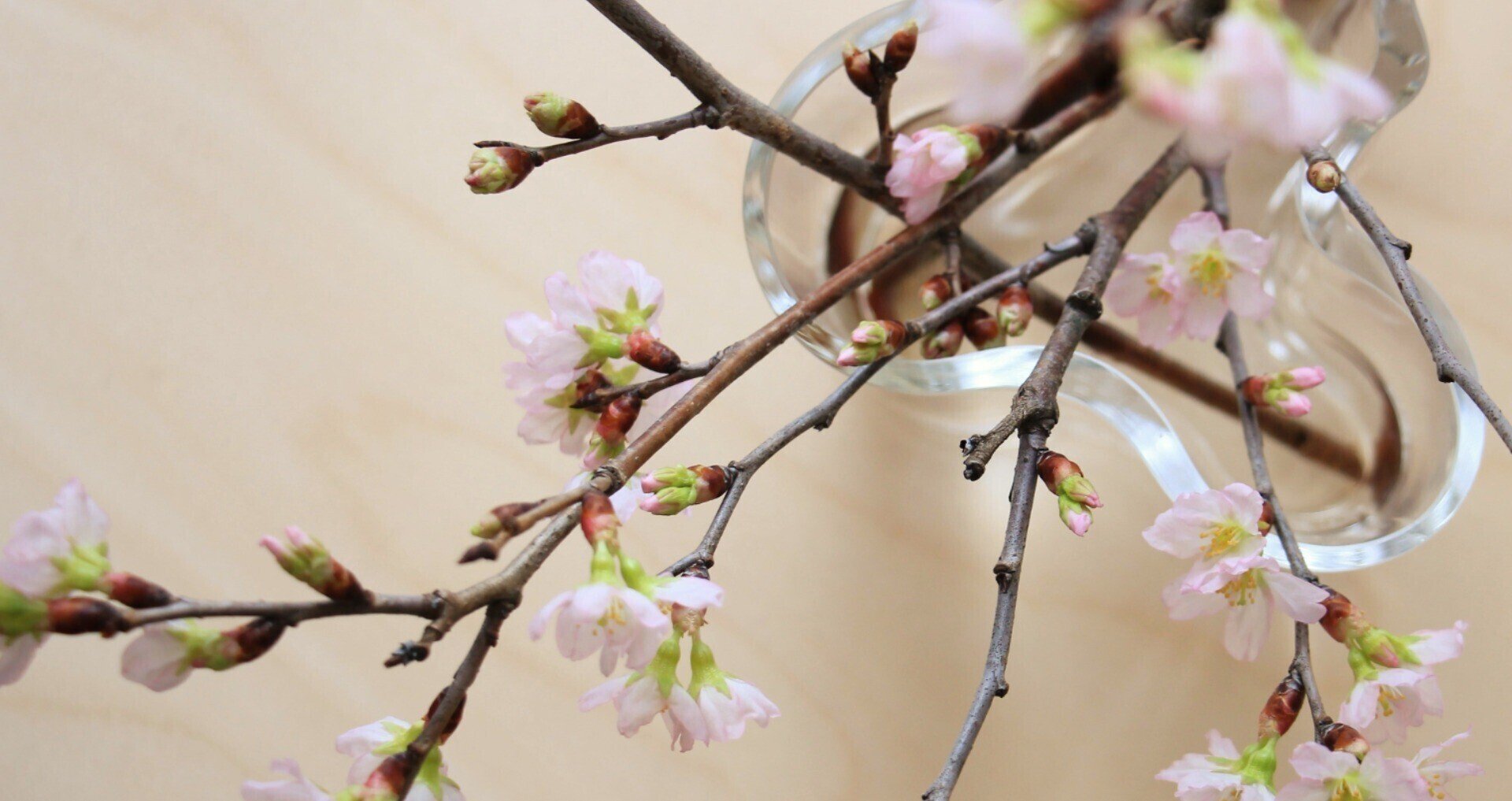 zono｜キャリア発掘｜note