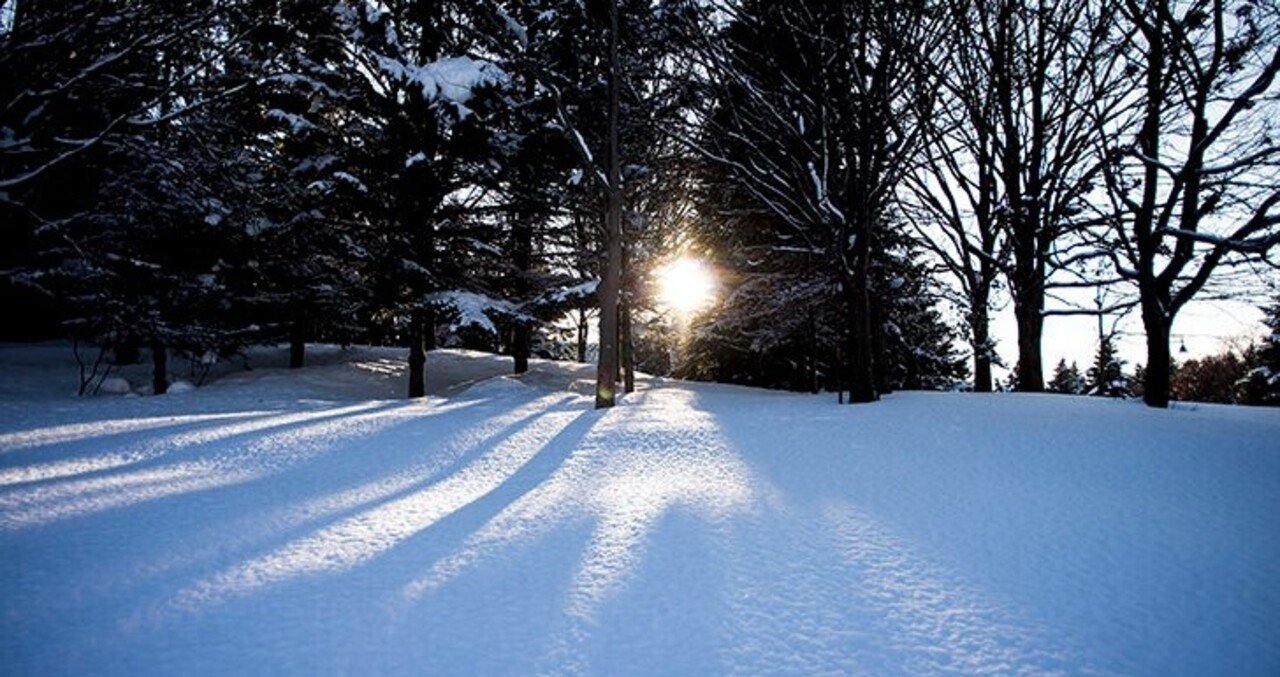 「あっ、寒くなって来たな！！少し早いけど冬歌の音楽を聴きたくなった。」 ＃邦楽編｜negomasa｜note