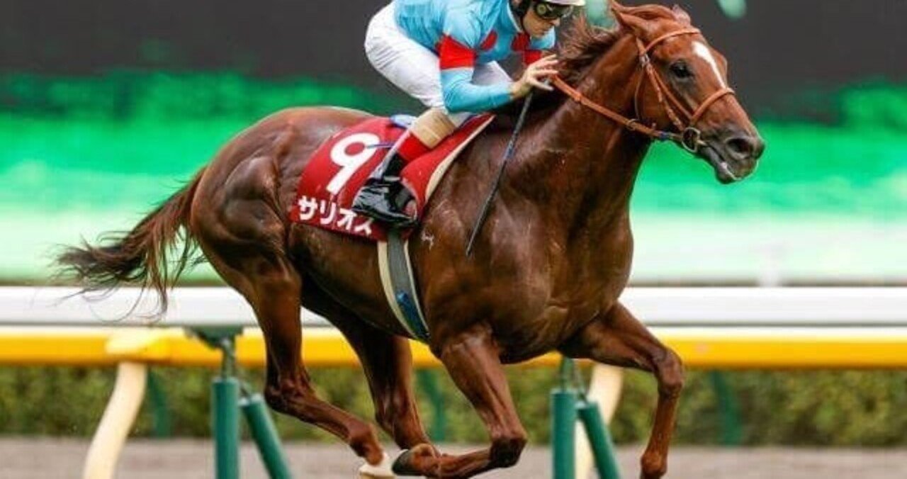 10/9 【JRA-M5ハイパー】勝負レース(7鞍)【東京9レース・阪神6レース・東京2レース・阪神2レース・東京1レース的中！】｜みかん｜note