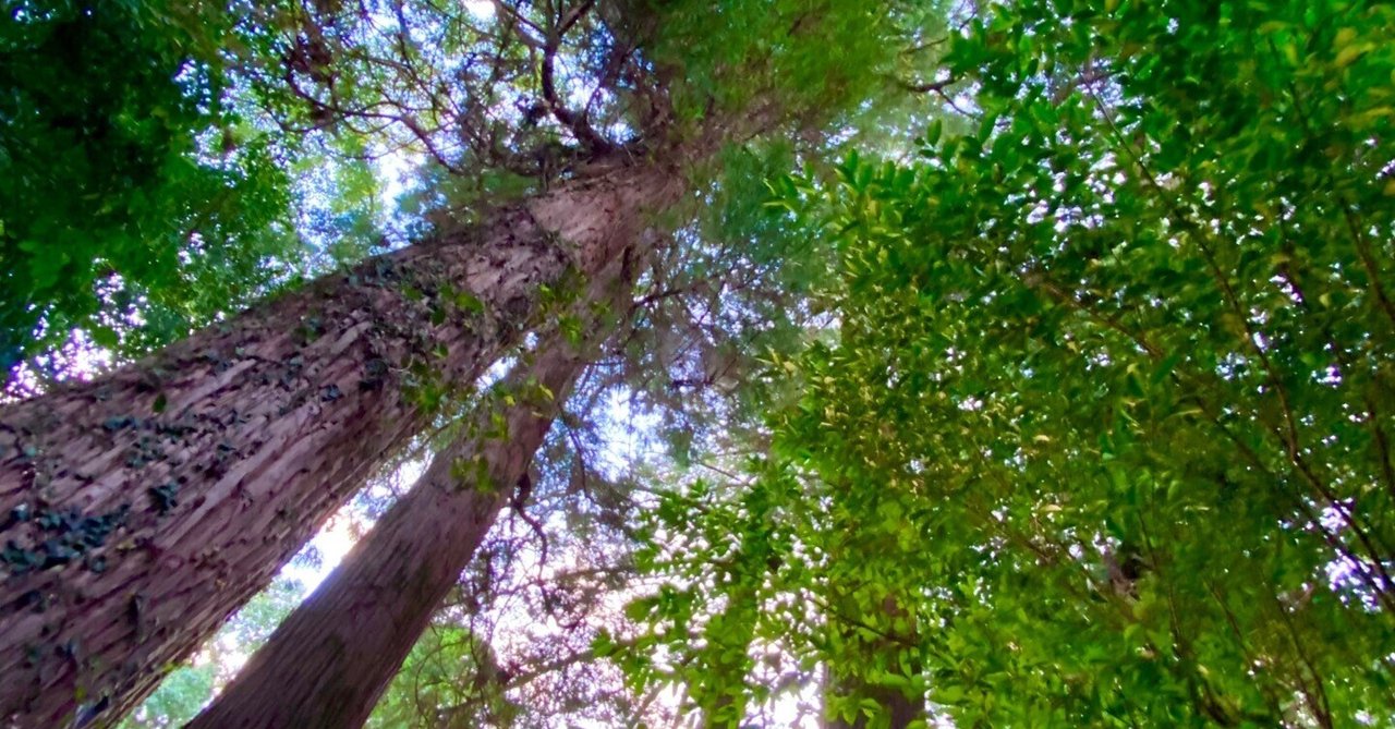 ひたってみとめる｜TresMe@Keisuke｜note