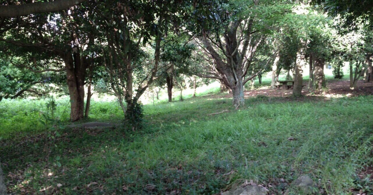 阪神11R・京都大賞典 予想｜PhanTam