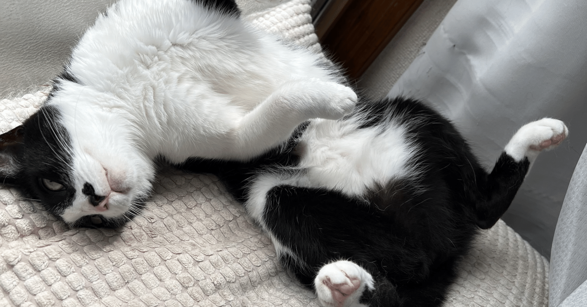 You Make King｜note