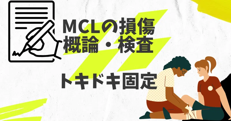 MCLの損傷 概論・検査と時々固定｜荻窪 翔