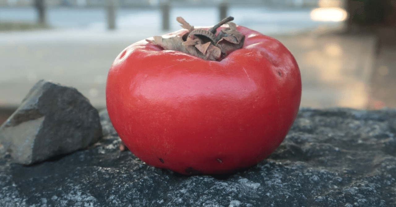 完熟の柿｜domika