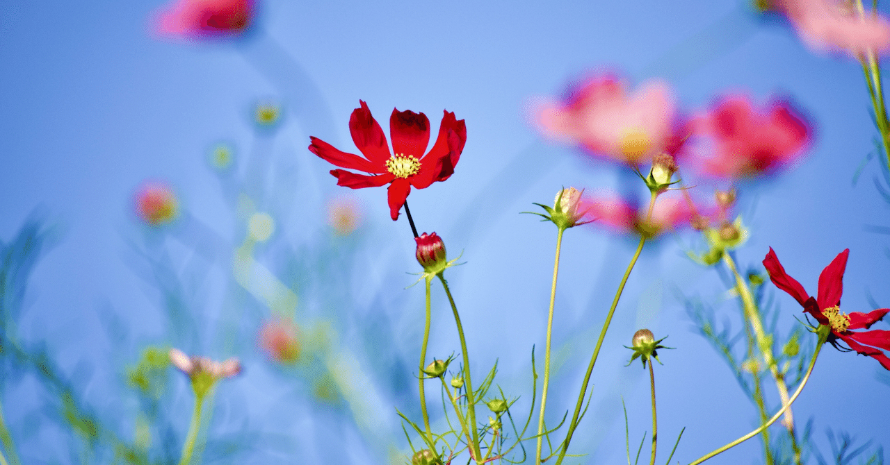 キャリアオーナーシップは朝充から｜朝時間を充実させるコミュニティ｜note