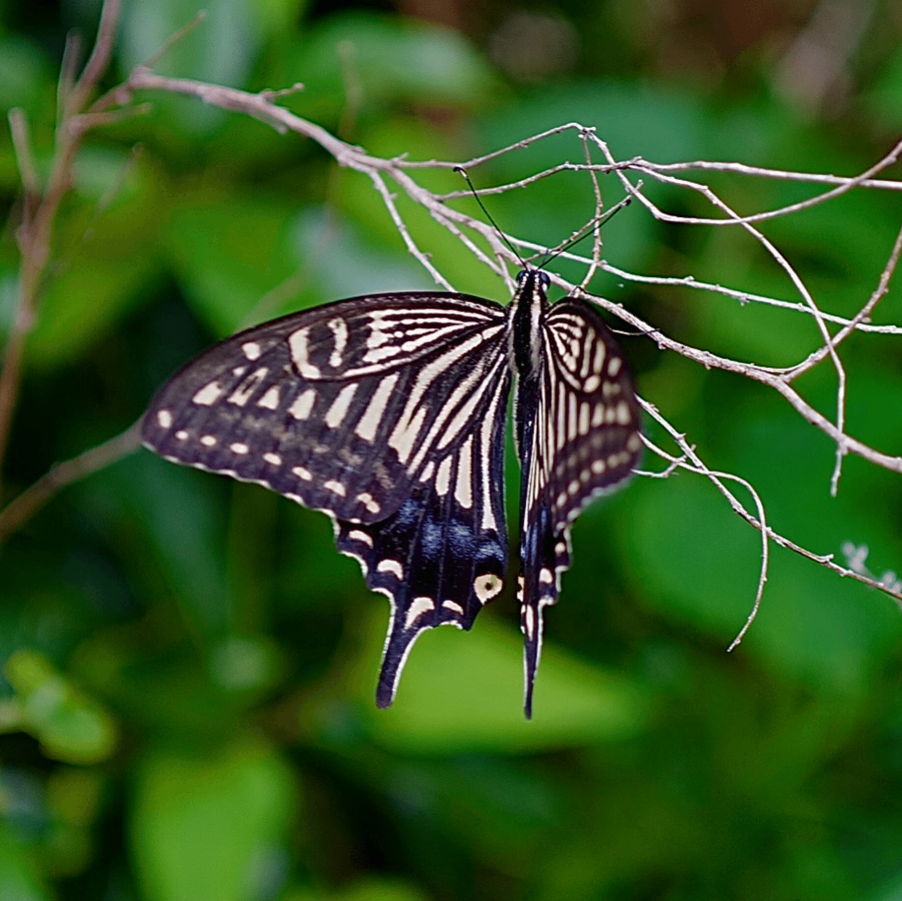 写真をみて どう感じるかは みた人が決めること｜KAZU−BON