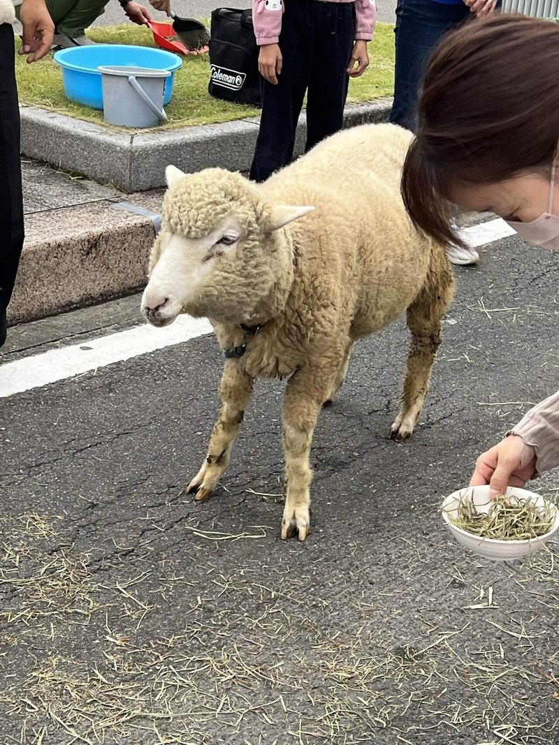 まだ生きてるのか、まだ生きていくのか。そして生きてていいのか。〜日帰り名古屋で感じた生きることについて考えたいくつかのこと〜｜Seina Morisako