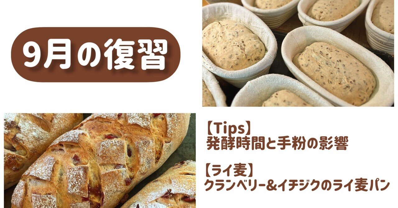 自家製酵母パン作り／9月の復習・質疑応答まとめ｜Baker Sachi/パン屋のサッちゃん
