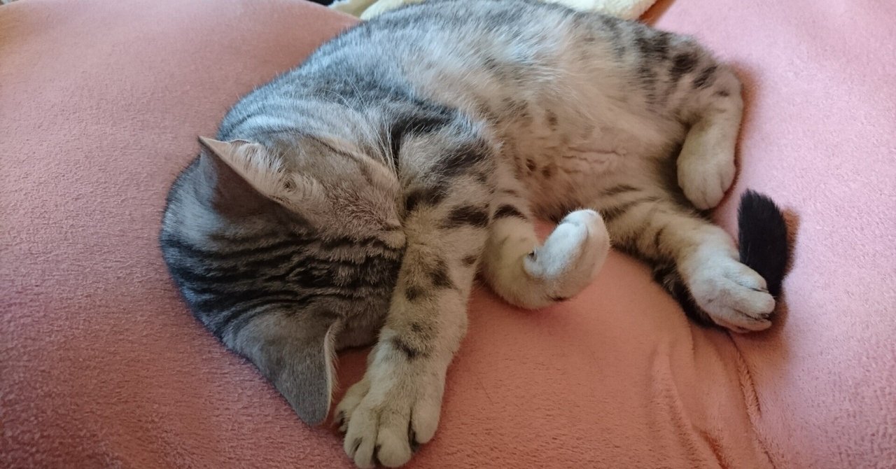 奇跡講座WB実践101 神の意志が私に望むのは完全な幸せである｜(Linp&Ruru)本当の自分を知り、本当の自分として生きる