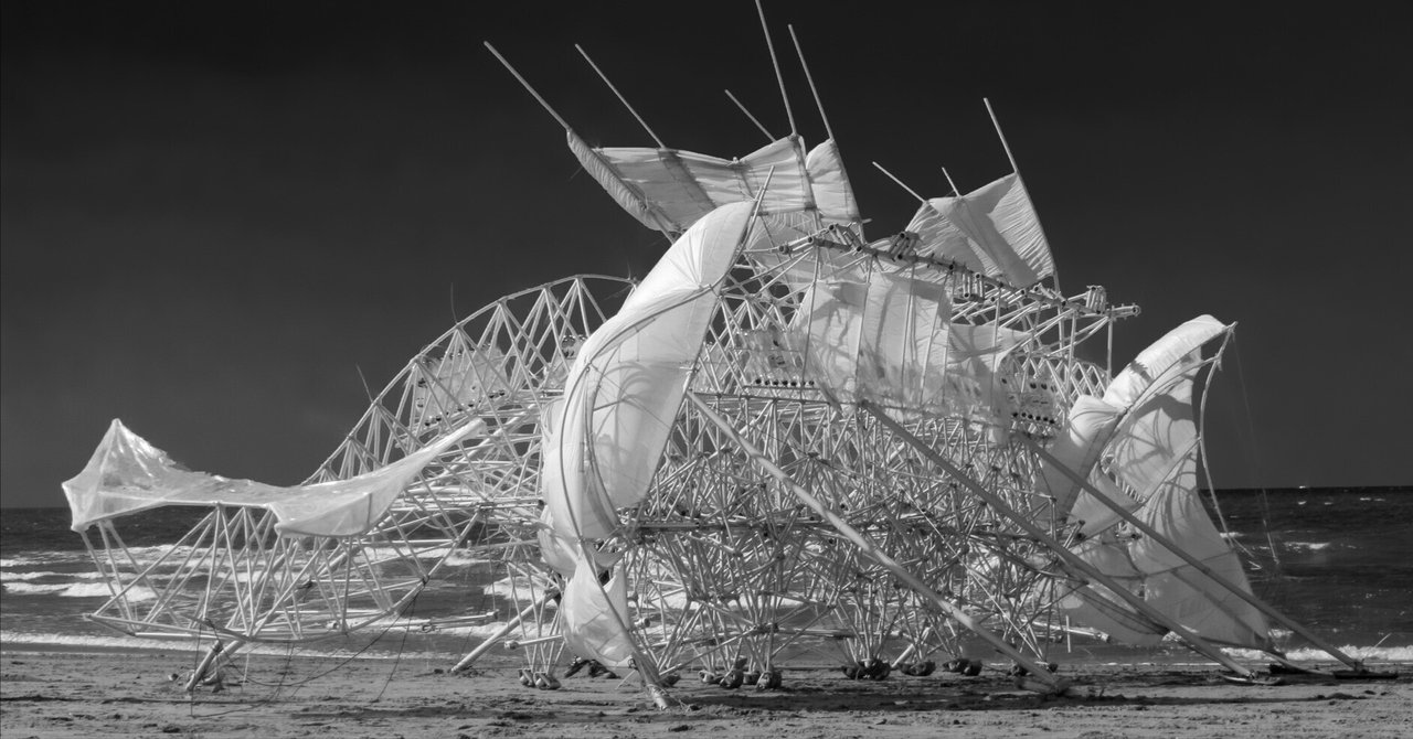 なぜALIFEとアートの親和性が高いのか？｜岡瑞起 Mizuki Oka