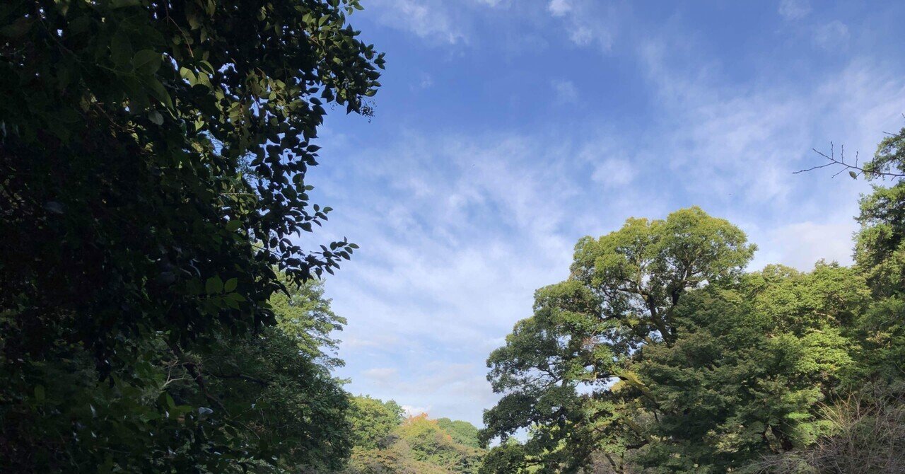 退院しました｜石川 恵里紗