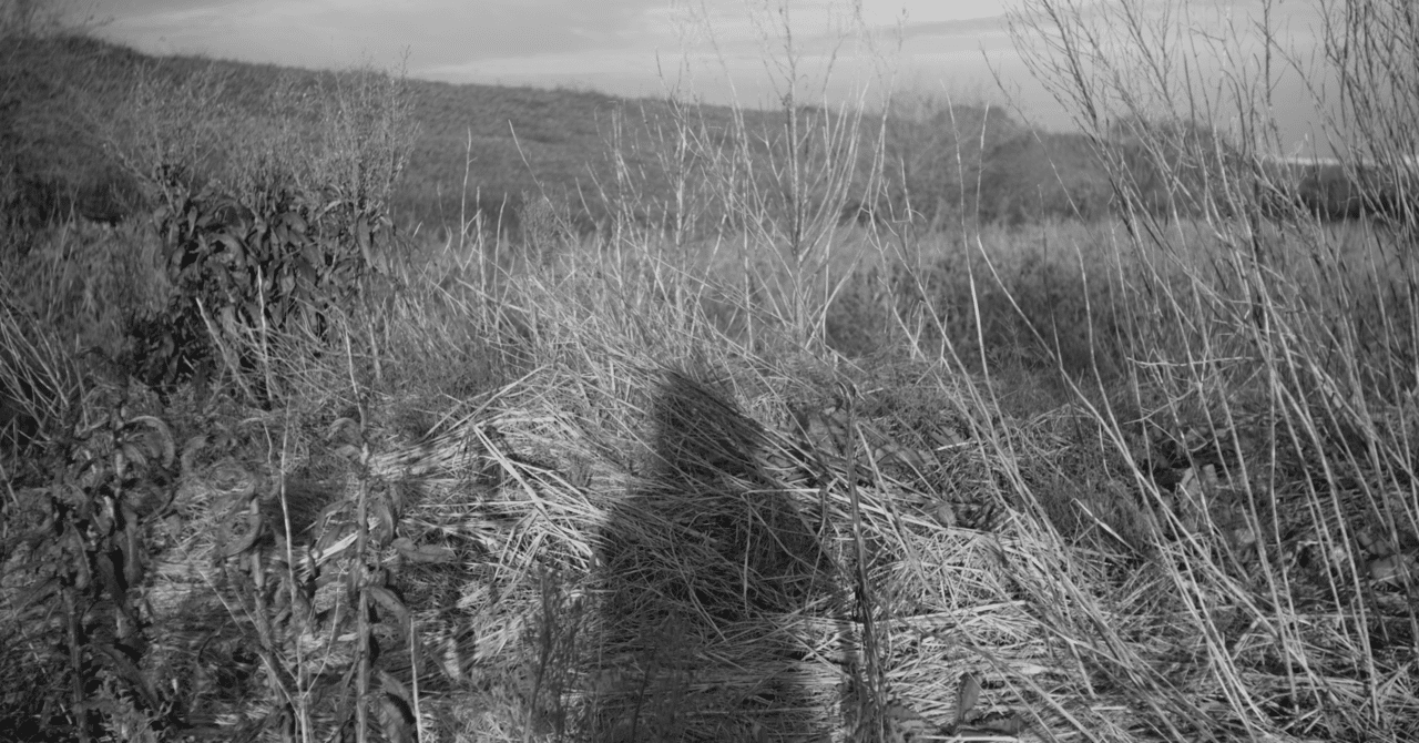 好きってすごい。｜kura｜note