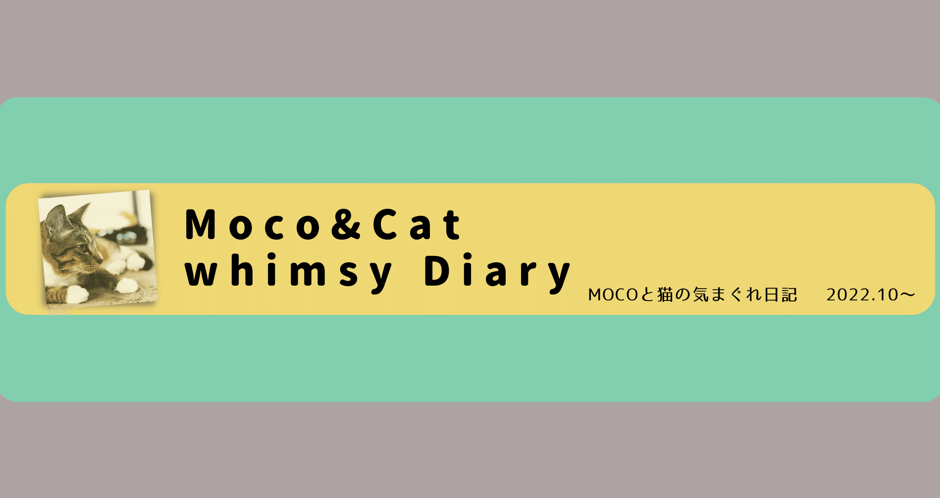 メガネ★Moco｜note