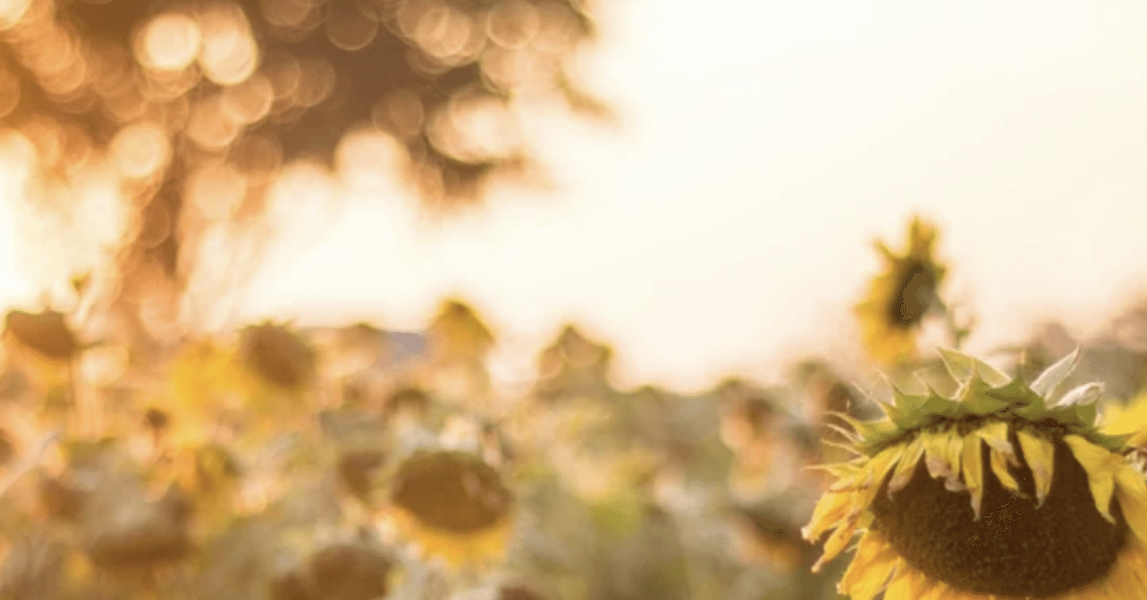 【歌詞#87】春を待つ／Waitingfor Spring｜chika_nyarons